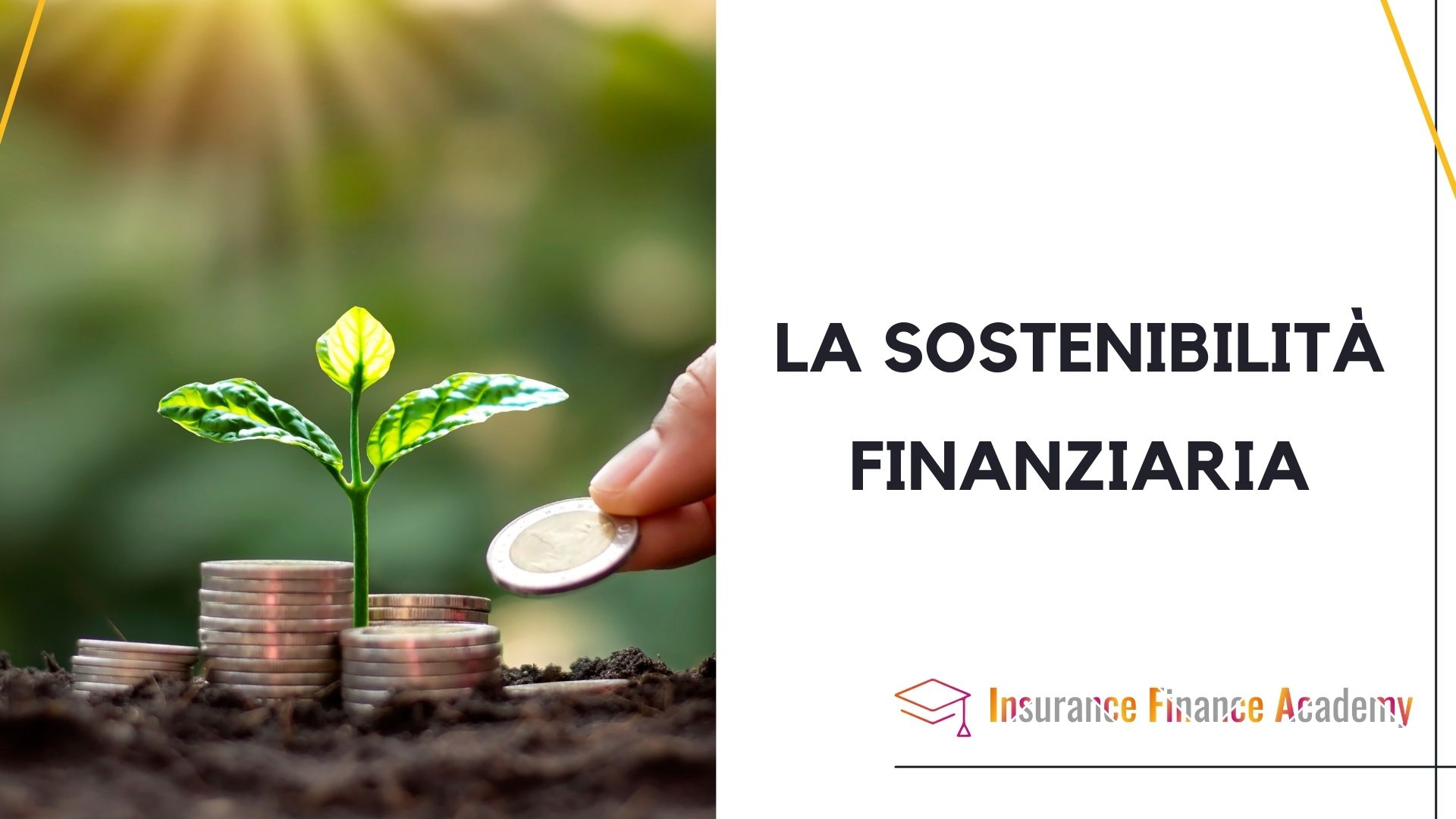 La sostenibilità finanziaria | Insurance Finance Academy